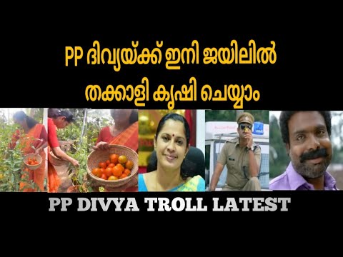 PP DIVYA ARRESTED - TROLL VIDEO #ppdivya #ldfkeralam #trollmalayalam #naveenbabu - YouTube