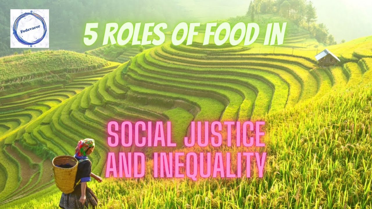 5 roles of food in social justice and inequality - YouTube