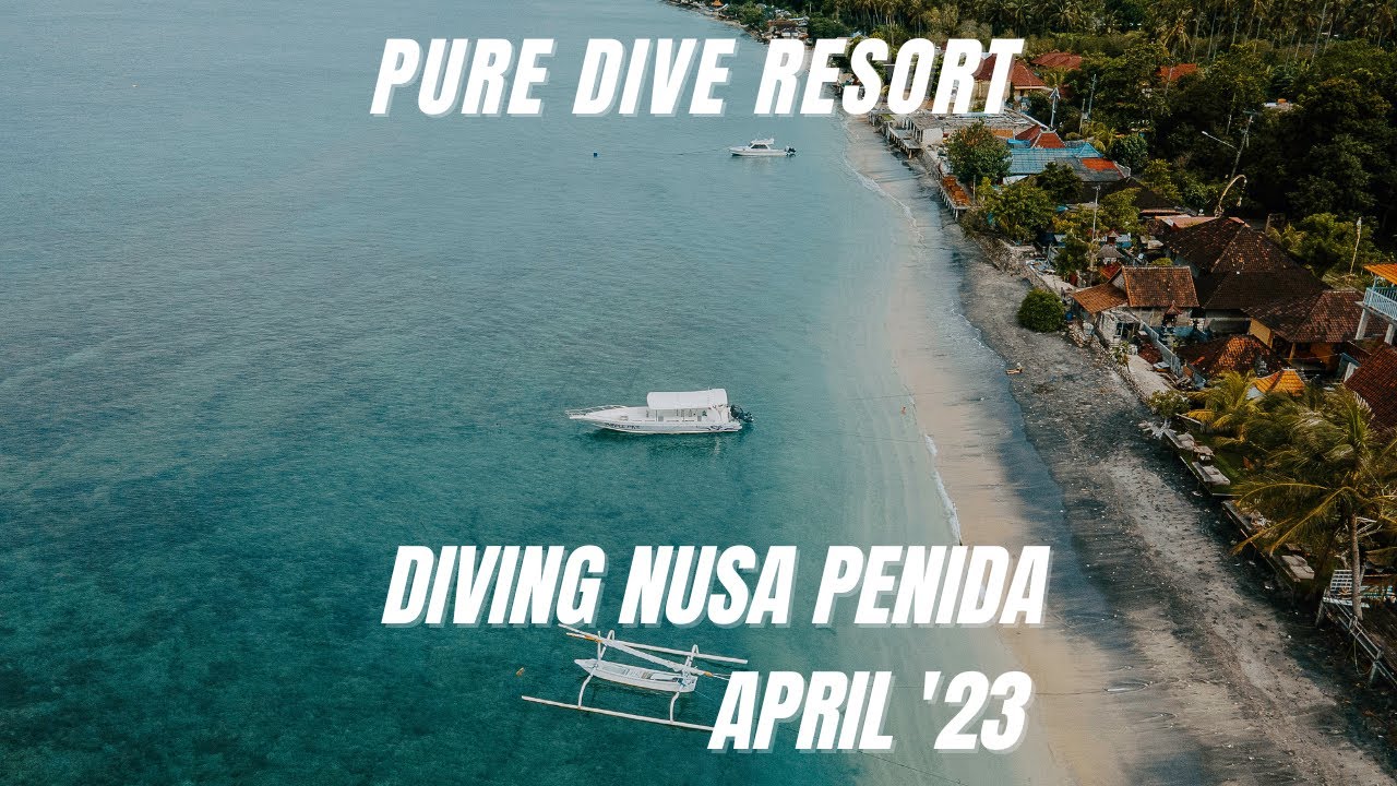 Nusa Penida Diving with Pure Dive Resort - compilation of the best ...