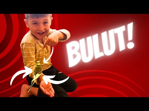 BULUT KUŞ İLE EĞLENCELİ OYUN! Eğlenceli Çocuk Videosu!