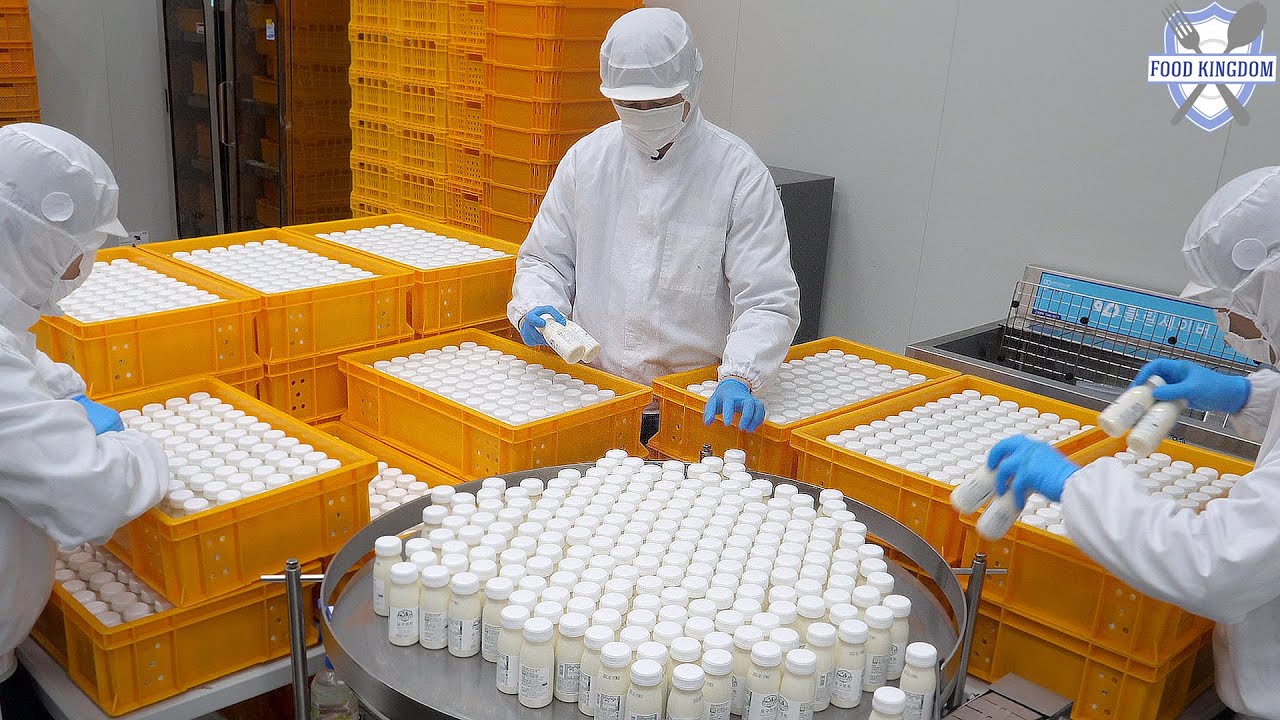 우리나라 유일! 자유방목,동물복지 인증된 제주도 목장의 요구르트와 치즈 생산현장 / Korean Cheese & Yogurt ...