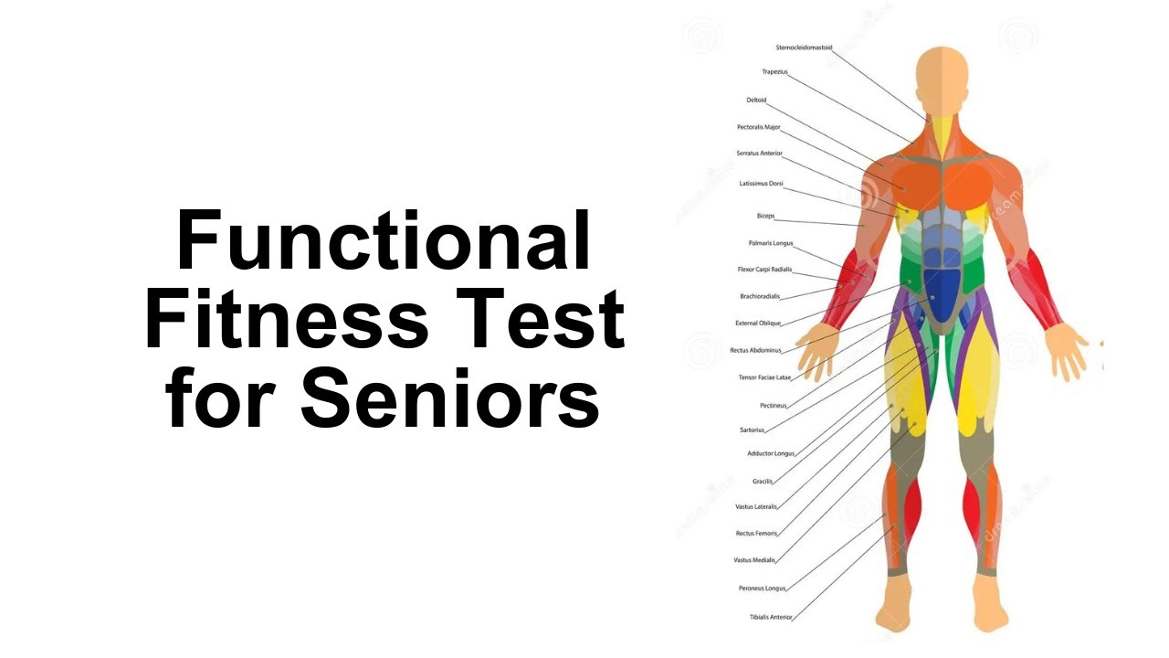 My Functional Fitness Test for Seniors - YouTube