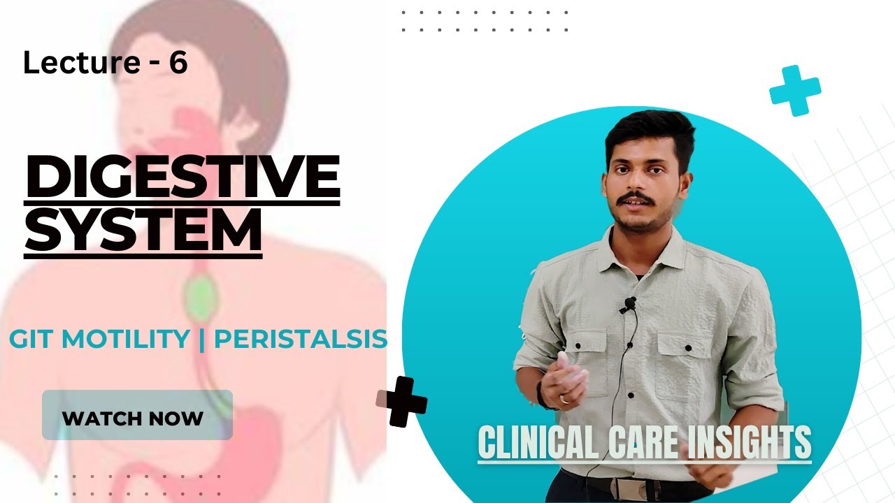Digestive System -6 | GIT Motility Part 3 | Peristalsis - YouTube