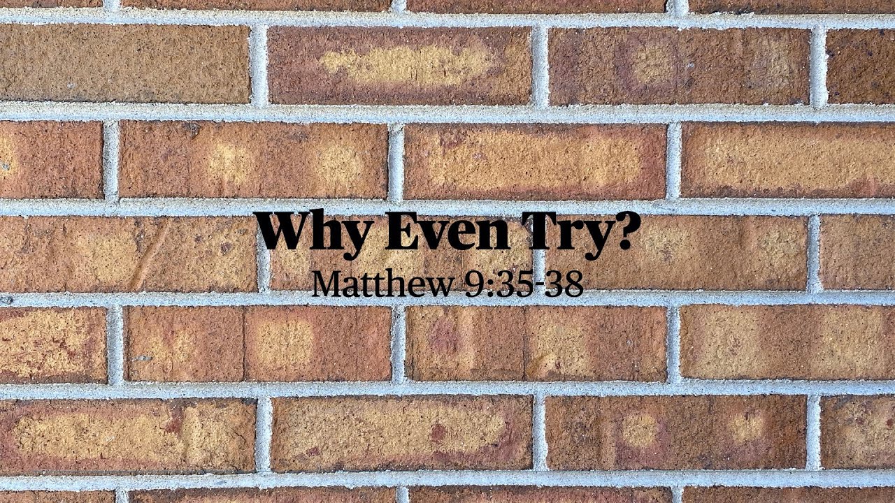 Why Even Try? - YouTube