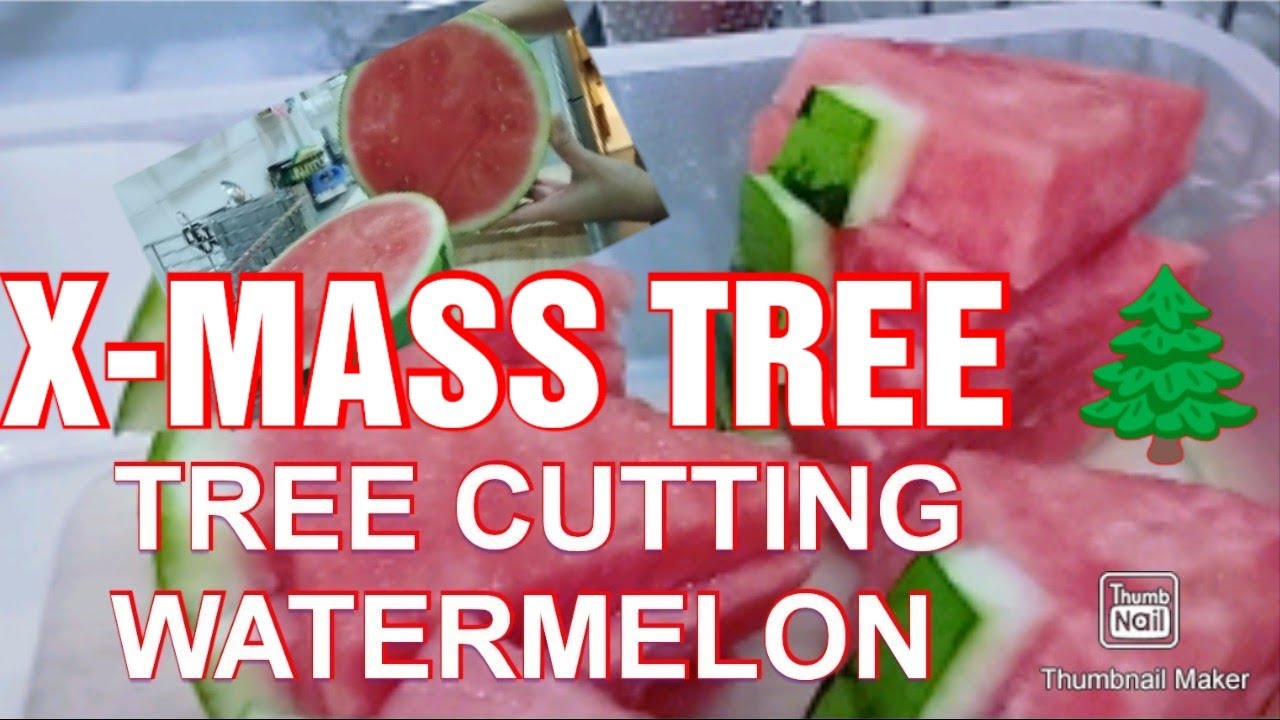 PAANO MAG CUT WATERMELON TREE-SLICE HOW TO CUT WATERMELON XMAS-TREE ...