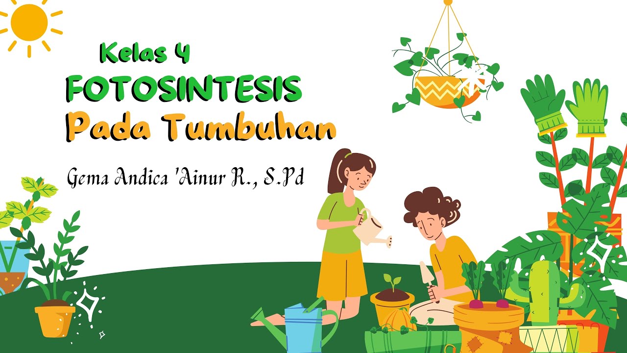 7. IPAS KELAS 4 PROSES FOTOSINTESIS PADA TUMBUHAN - YouTube
