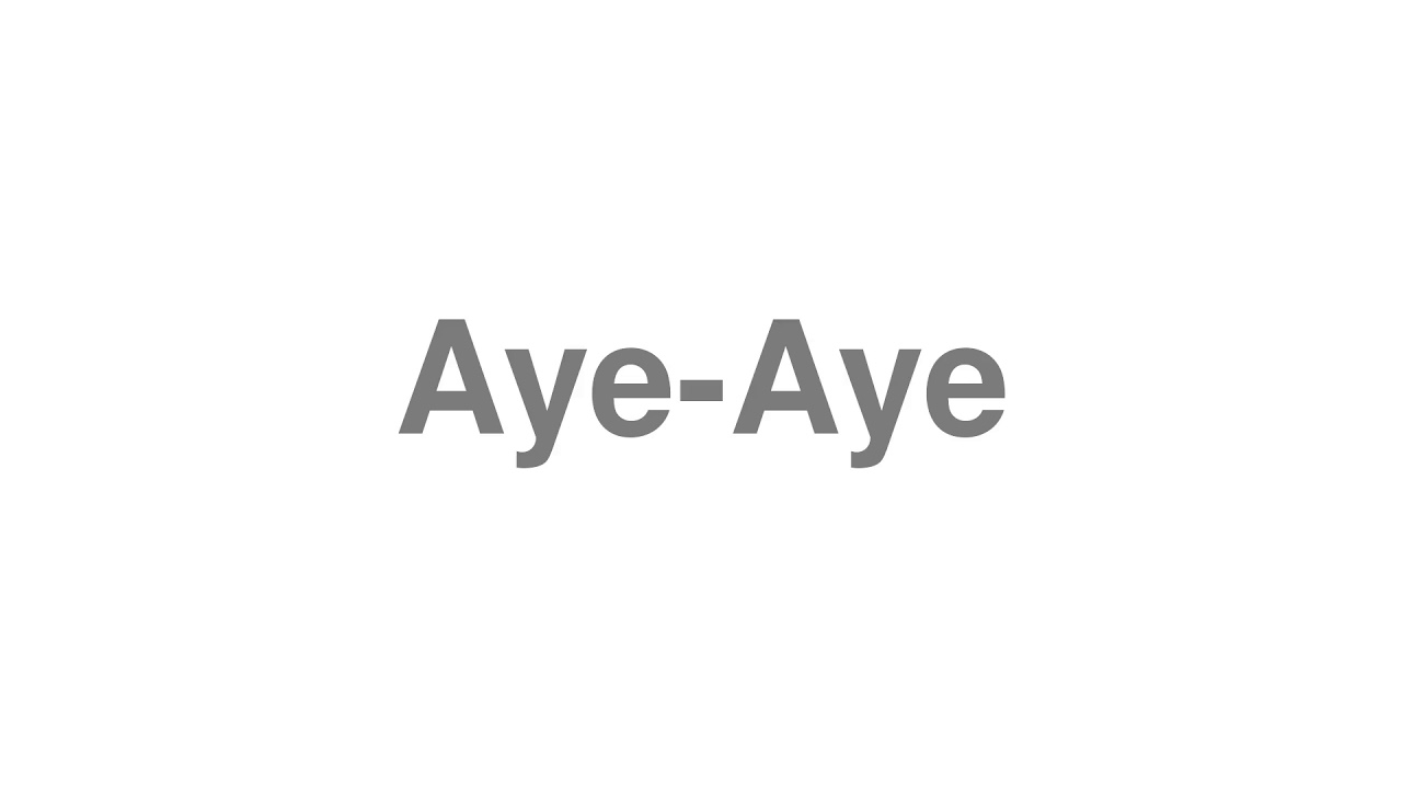 How to Pronounce "Aye-Aye" - YouTube
