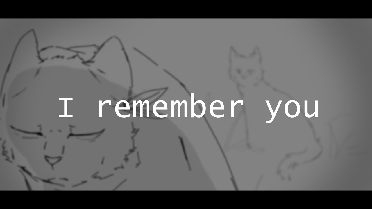 :I Remember You: //FOREST (cats)// - YouTube