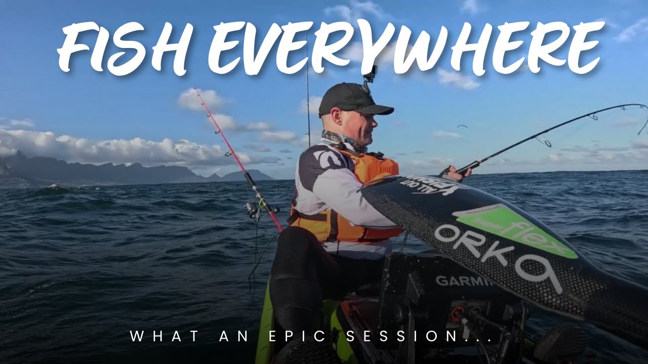 Fish Everywhere!!! - YouTube