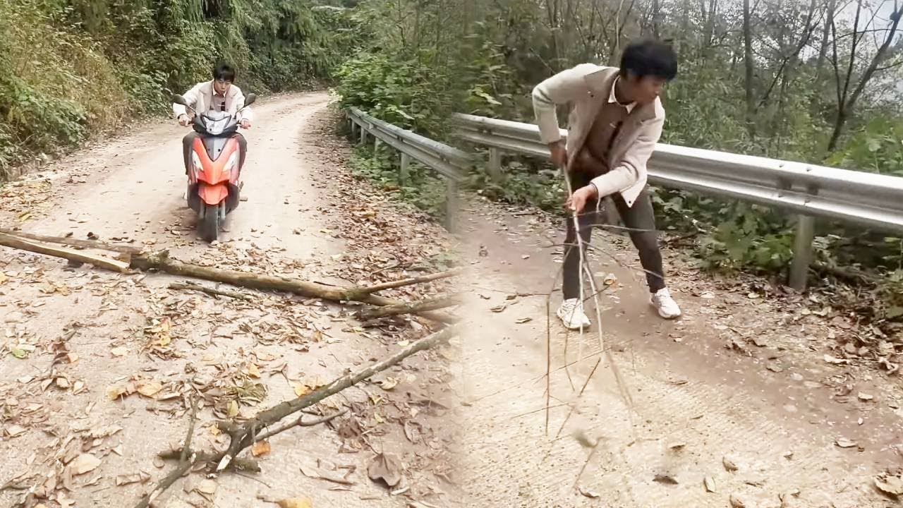 The young man moved the fallen tree branches and cleared the road into ...