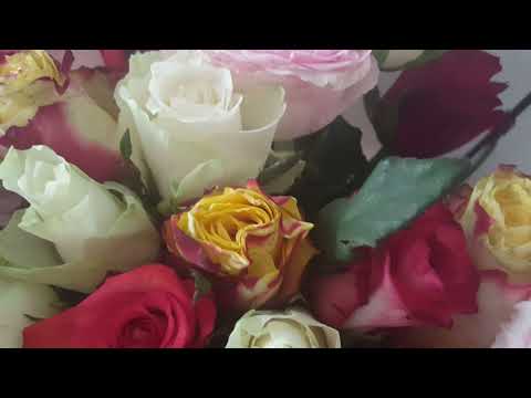 20190616_200239 Donmem Asla