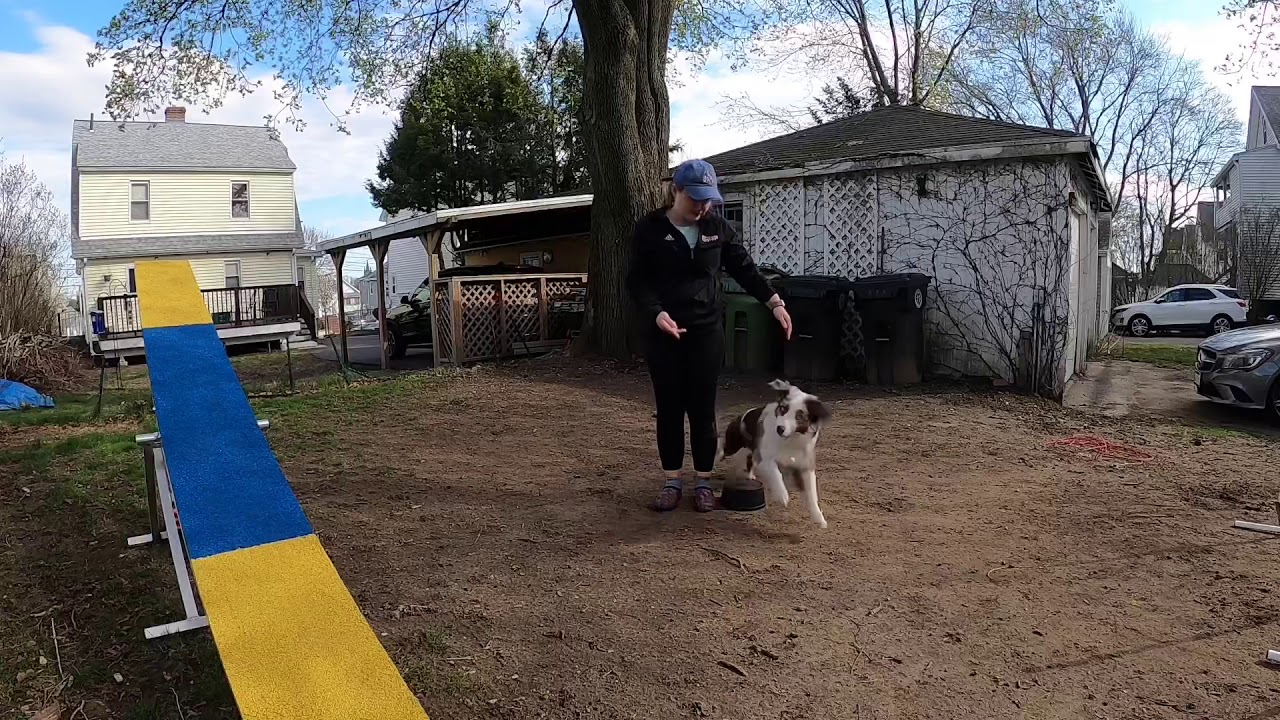 SH: Bucket, Cookie Toss, Hand Positions - YouTube