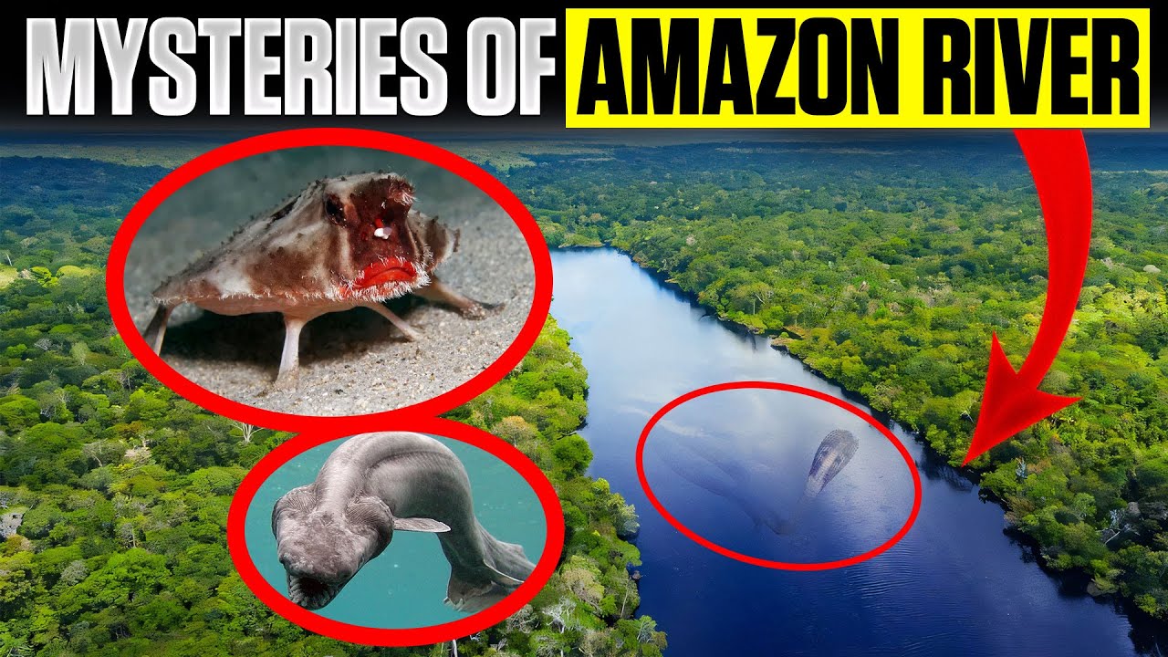 The Secret Life Under the Amazon River - YouTube