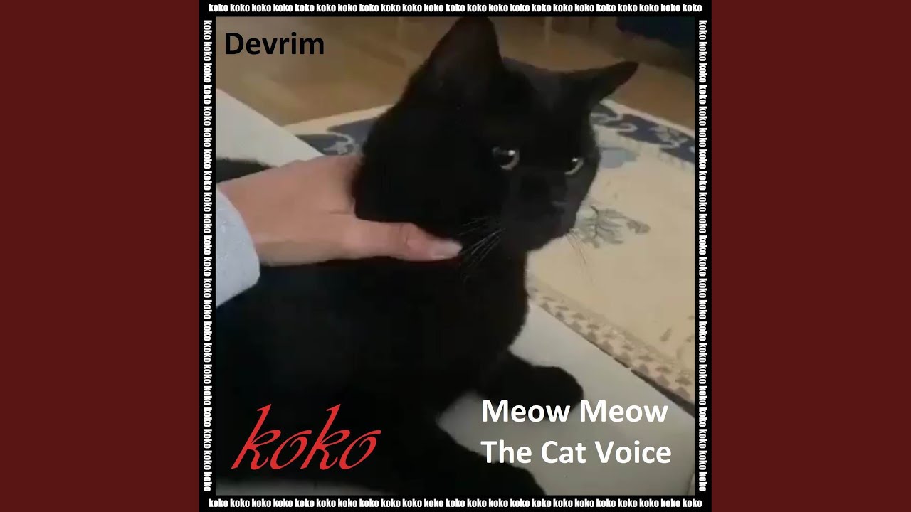 Meow Meow The Cat Voice - YouTube