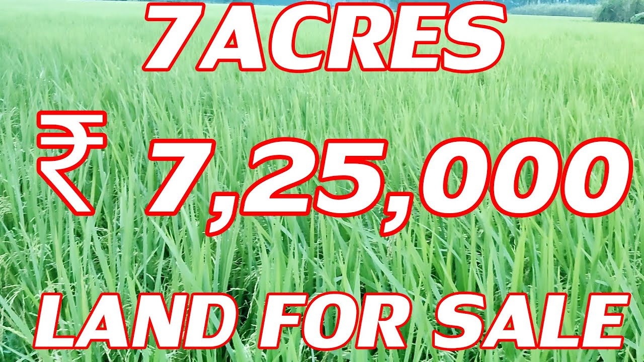 7 ACRES AGRICULTURAL PROPERTY SALE | ₹ 7,25,000 /- LAKH | AGRICULTURAL ...