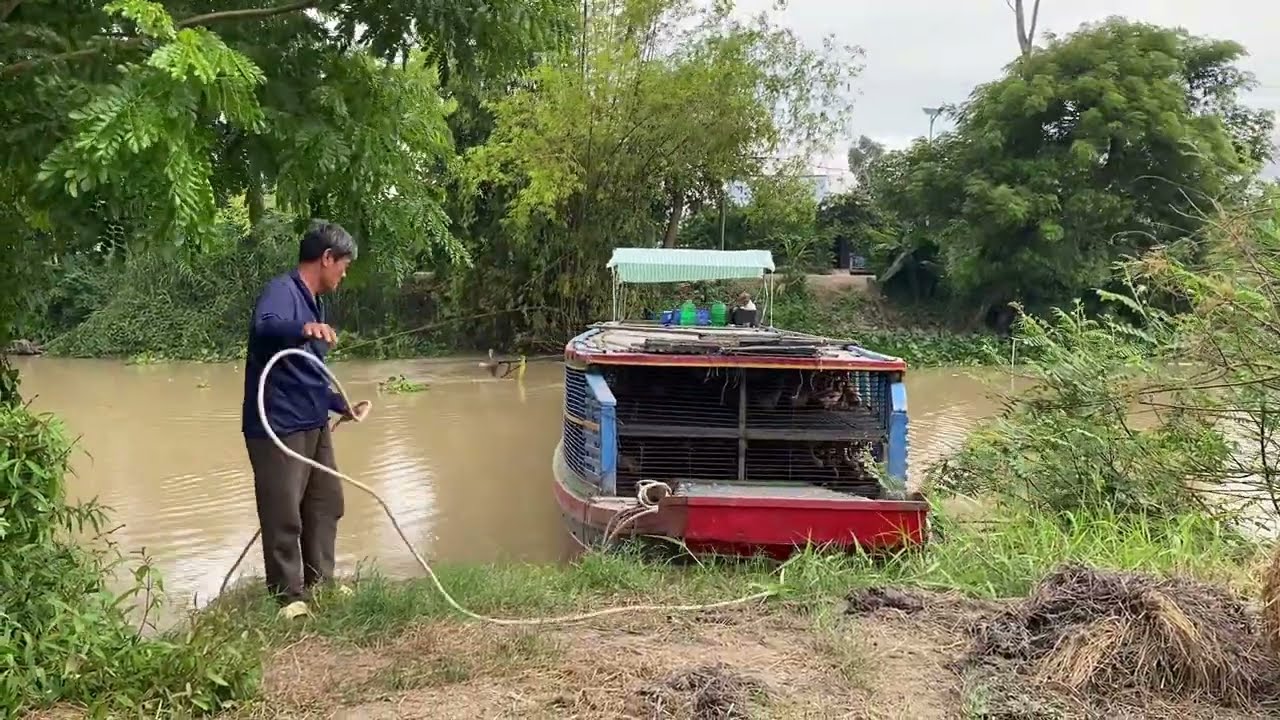 Incredible Duck Delivery – 68KM Boat Ride with Thousands of Ducks in ...