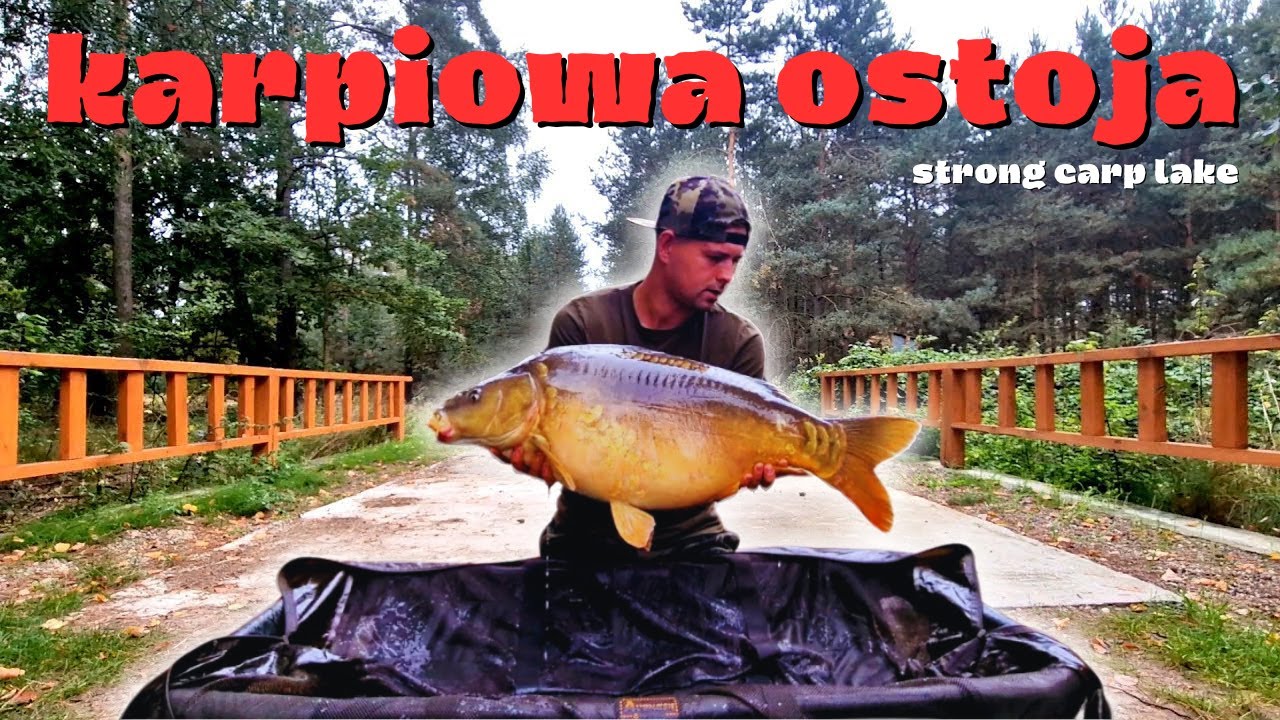 Karpiowa ostoja na stanowisku nr 1 - Strong Carp Lake - YouTube