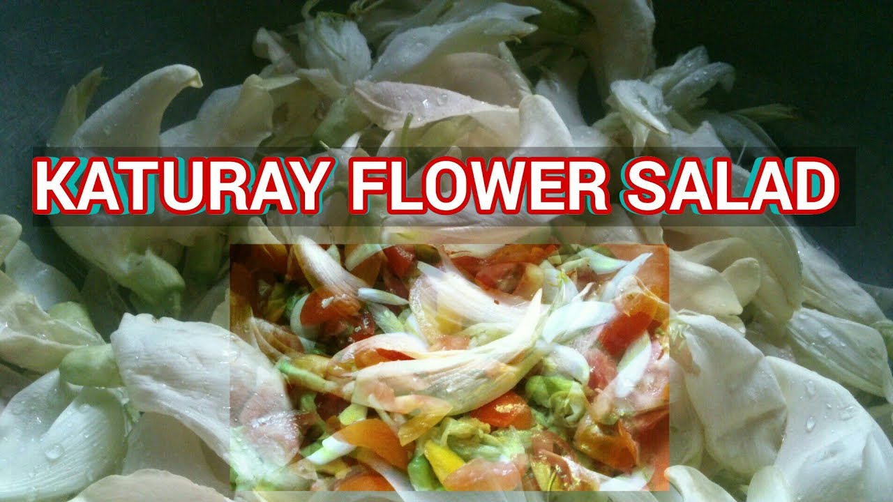 Katuray Flower Salad - YouTube