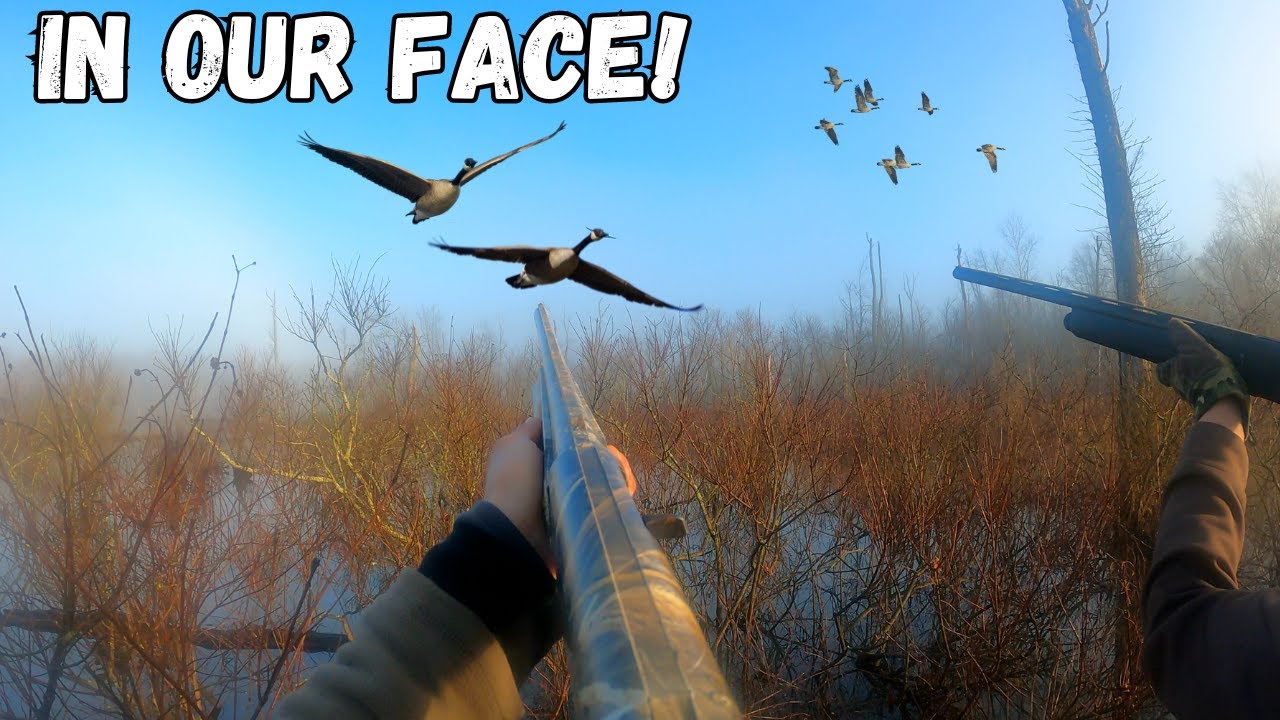 Duck Hunting A Flooded Swamp With GEESE IN OUR FACE! | Duck Hunting ...