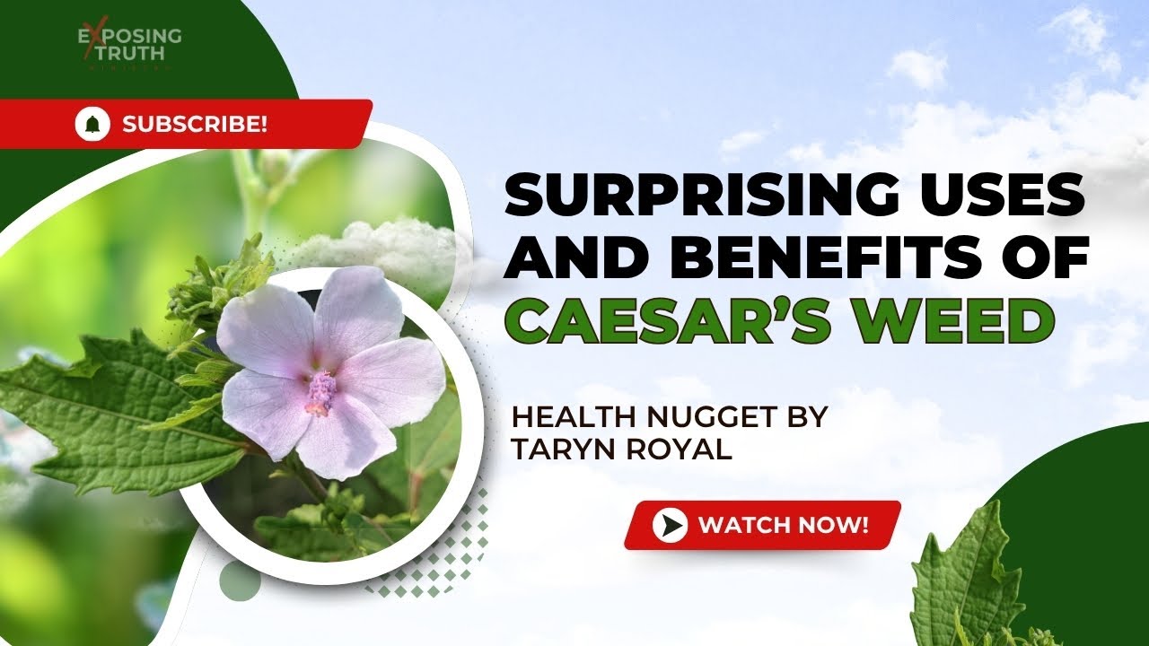 Surprising Uses And Benefits Of Caesar's Weed | Taryn Royal - YouTube