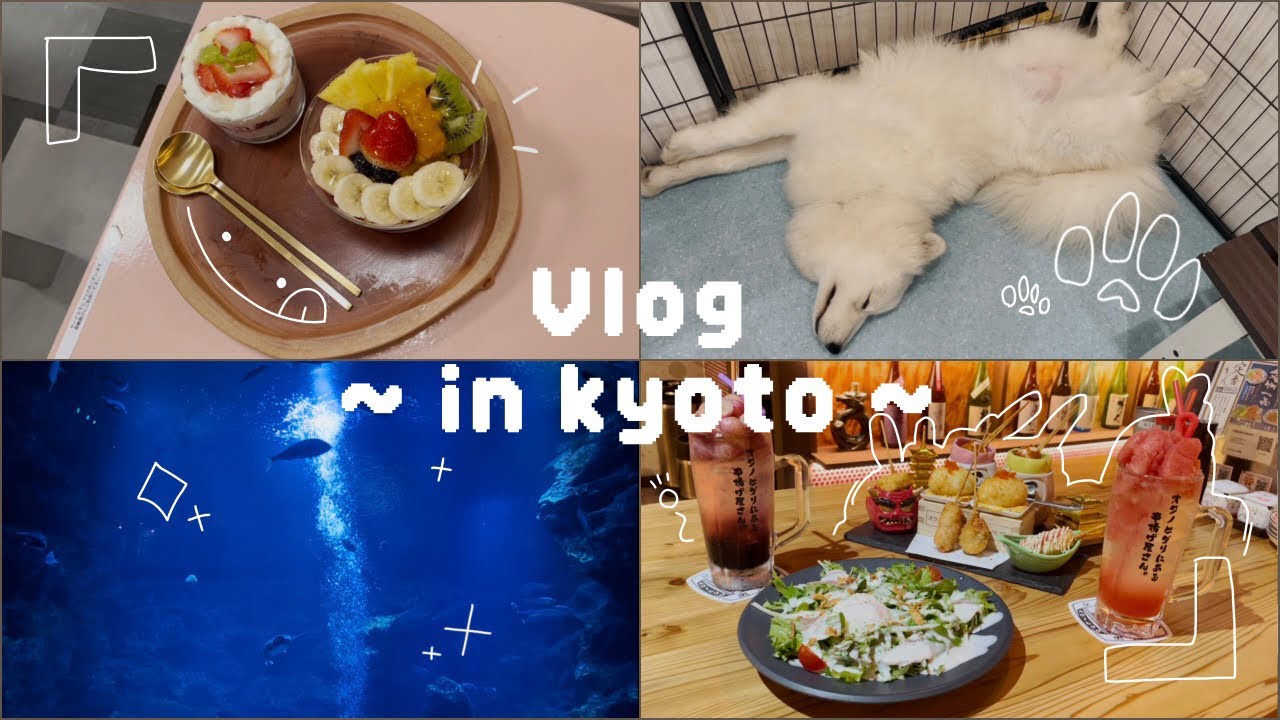｜vlog｜Vtuberの友達と京都に行きました。 - YouTube