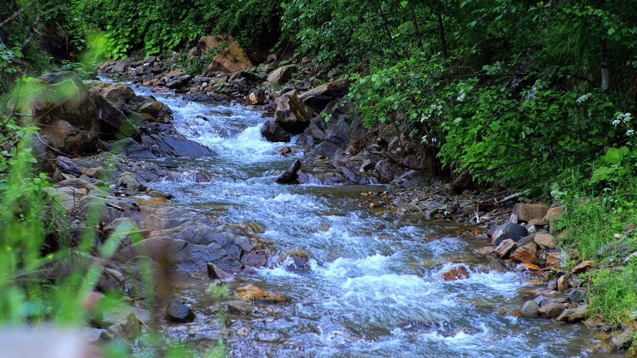 Relaxing Creek Water River Sound | Meditate Relax Sleep Yoga - YouTube