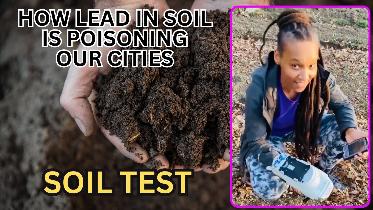 How Lead in Soil is Poisoning Our Cities - Test Your Soil First to Grow ...