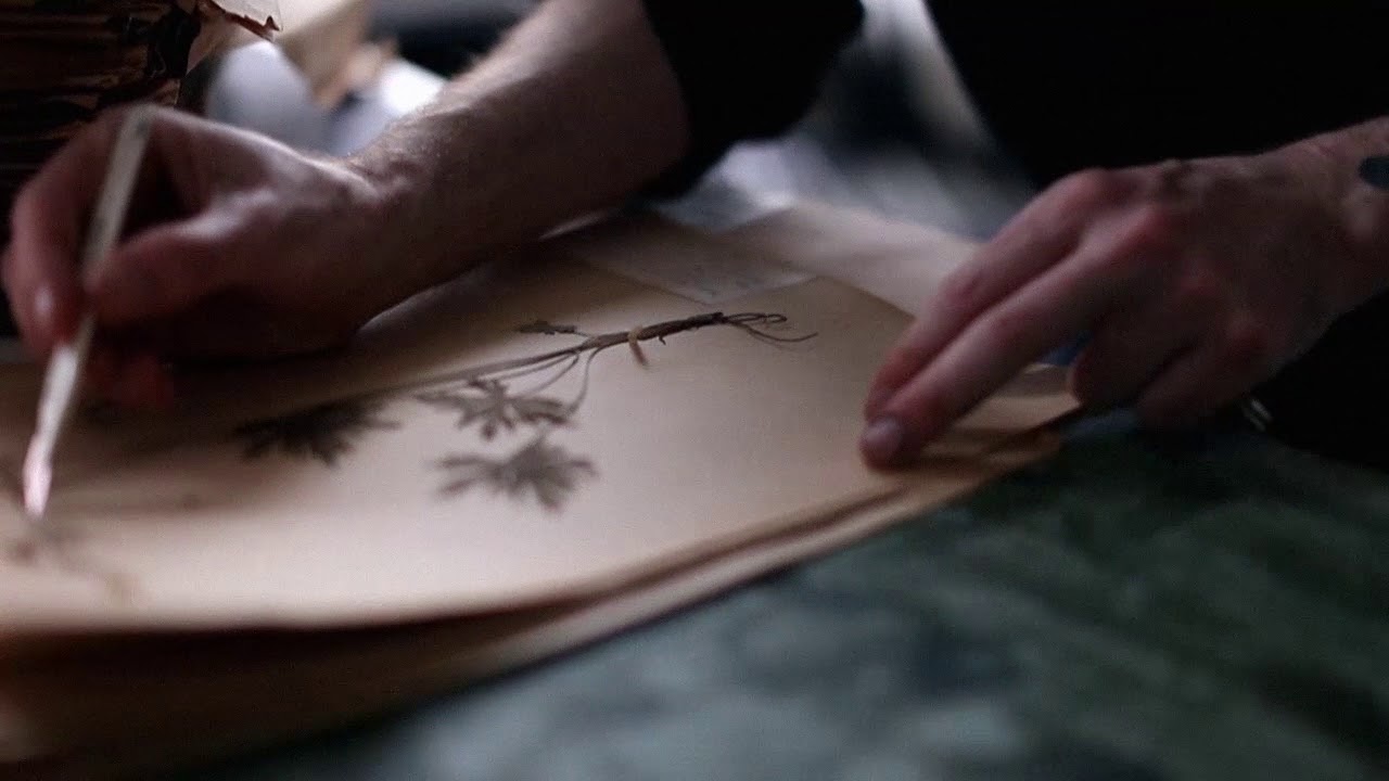 Martin Bergström - Flora Hysterica - sneak peek video - YouTube