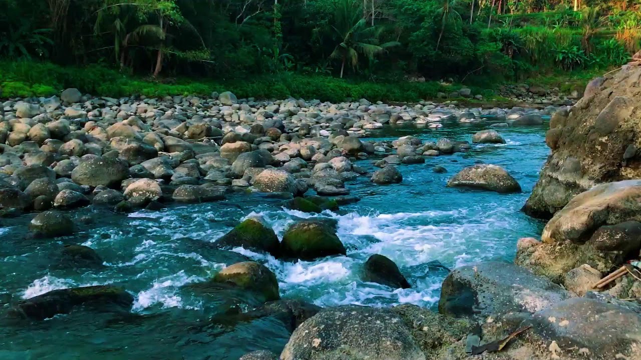 Refreshing Forest Stream for Healing, Relaxation and Sleep - YouTube