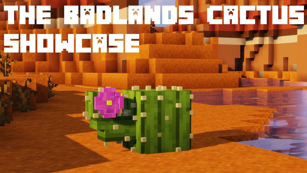 The Badlands Cactus - Showcase - YouTube