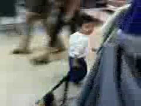 shopoholic NEIL - YouTube