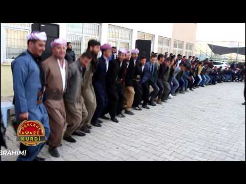 Hozan Diyar Herki & Şerzan Ayhan - Mamoste Uğur Kaya - Şexaniya Oremarya [Pinyanişi Aşireti]