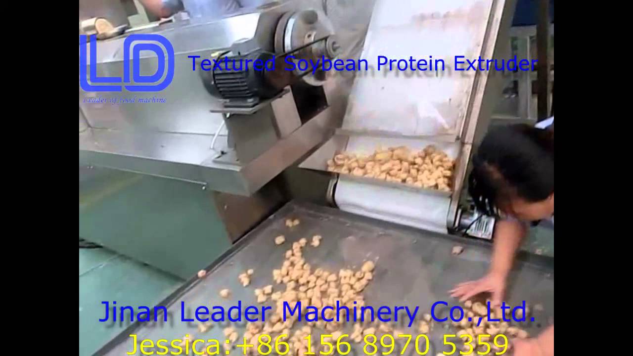 Textured Soybean Protein Extruder,artificial meat process line Video ...