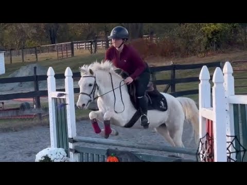 “Katy” jumping at home 10/24 - YouTube