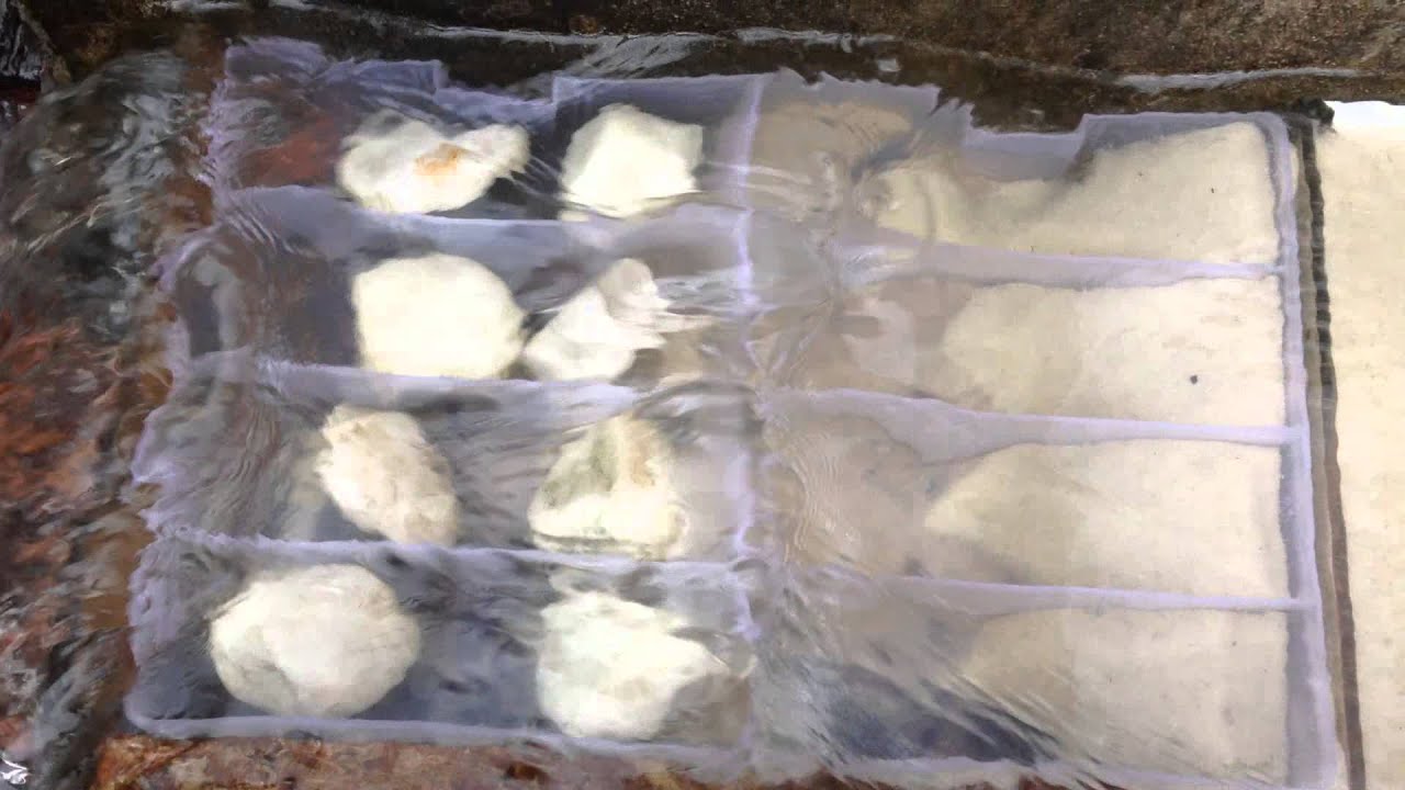 Experiment of sediment transport in an open channel - YouTube