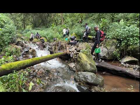 A journey through Karamoja's lush green tropical rain forests | Mount Kadam, Uganda