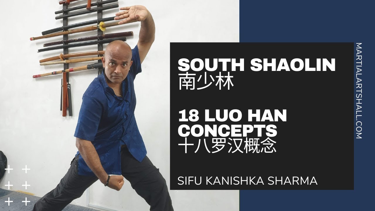 Sifu Kanishka Sharma - South Shaolin 18 Luo Han Quan Concepts (南少林十八罗汉拳 ...