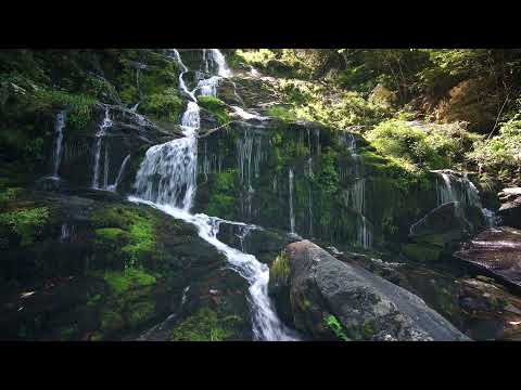Water Streams With Relaxing Music