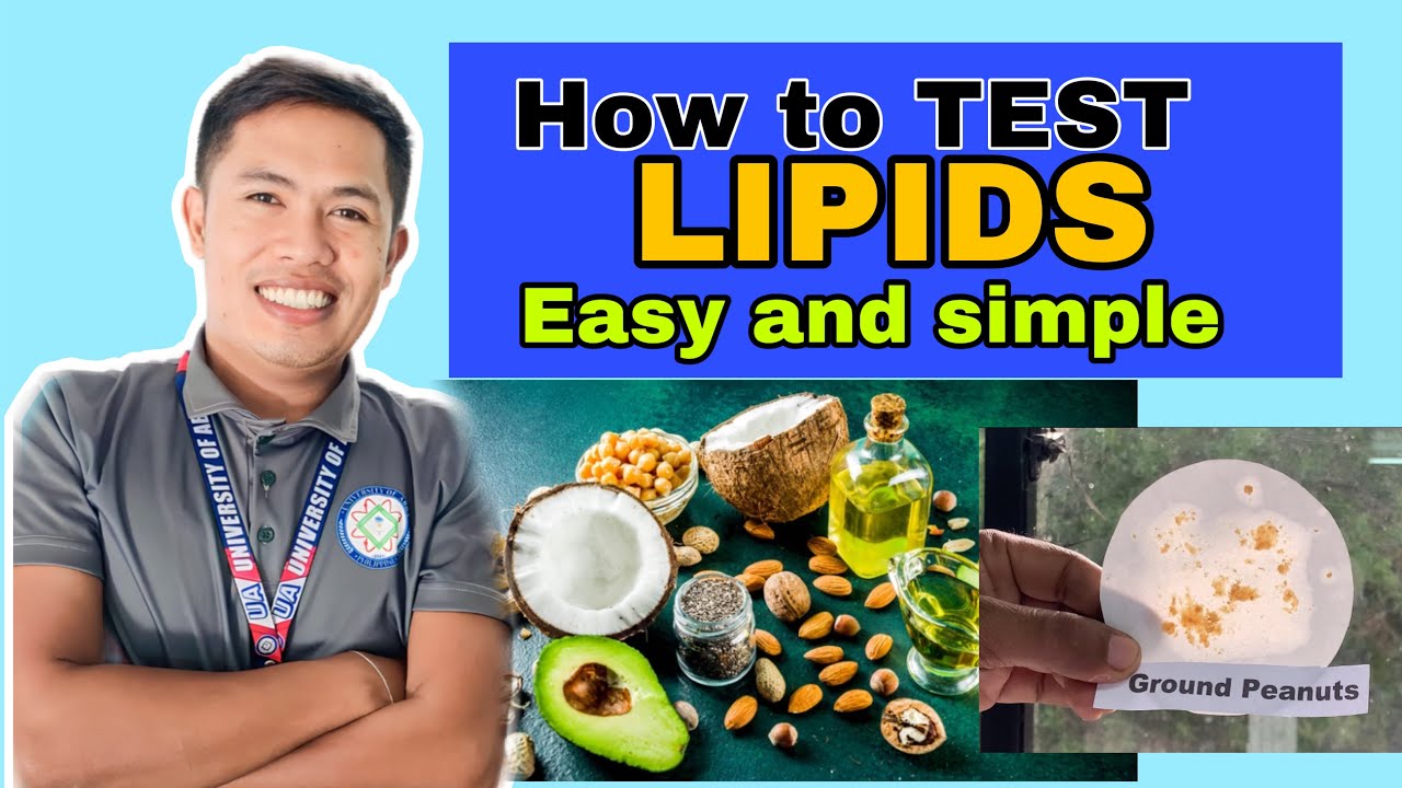 HOW TO TEST LIPIDS OF FOODS at HOME | Biology - YouTube