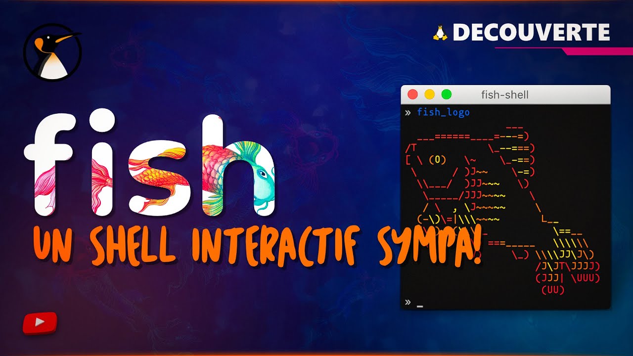 Fish : un shell interactif sympa pour Linux - YouTube