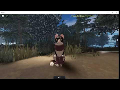 Naming and adding Traits to the new morphs!. Warrior Cat: Ultimate Edition. - YouTube