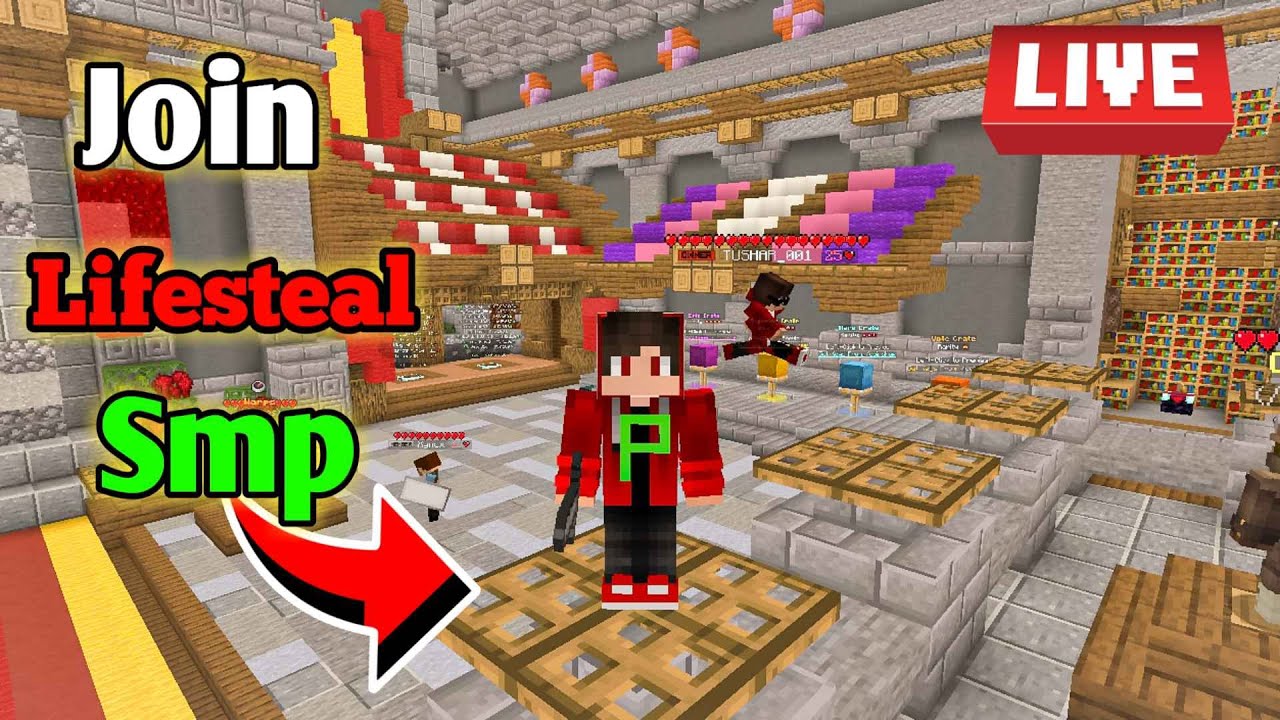 🎈 Join Best Lifesteal Public Smp Server For Minecraft 👑 | Java + PE ...