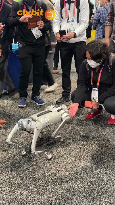 Meet the Unitree Go1 robotic pet dog as seen at CES 2023 - YouTube