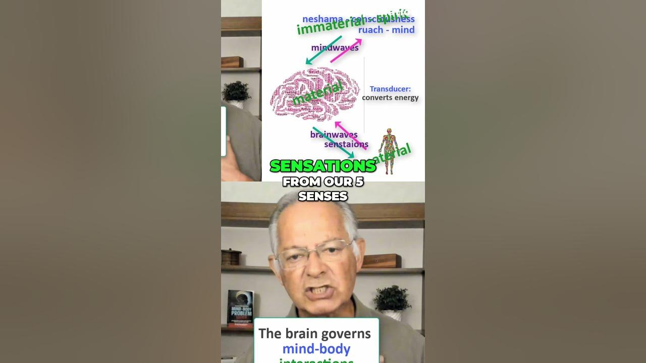 Unlocking the Mind: The Brain-Mind Connection Explained - YouTube