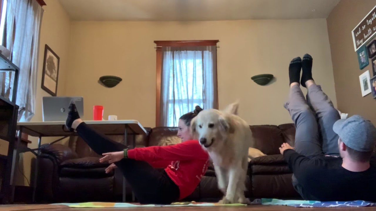 Mrs. Matson’s E-Learning Bootcamp Day 5 - YouTube