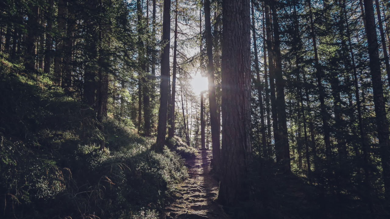 Shattered Paths - Aakash Gandhi (Calm Relaxing Sound) - YouTube