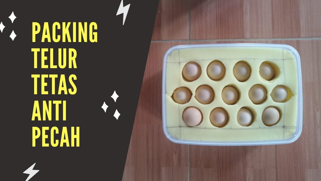 Cara packing telur tetas - YouTube