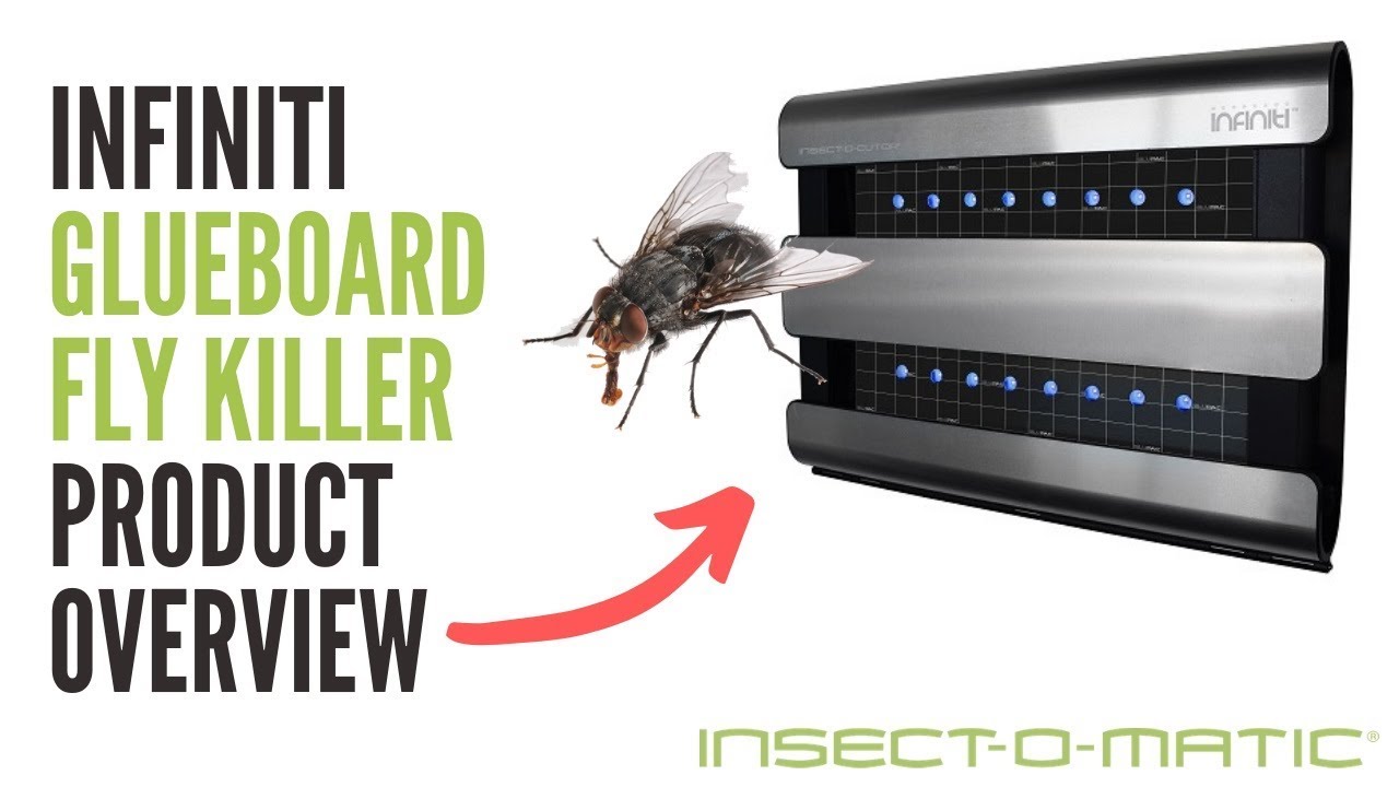 Insectomatic Infiniti Glueboard Fly Killer - Product Overview - YouTube