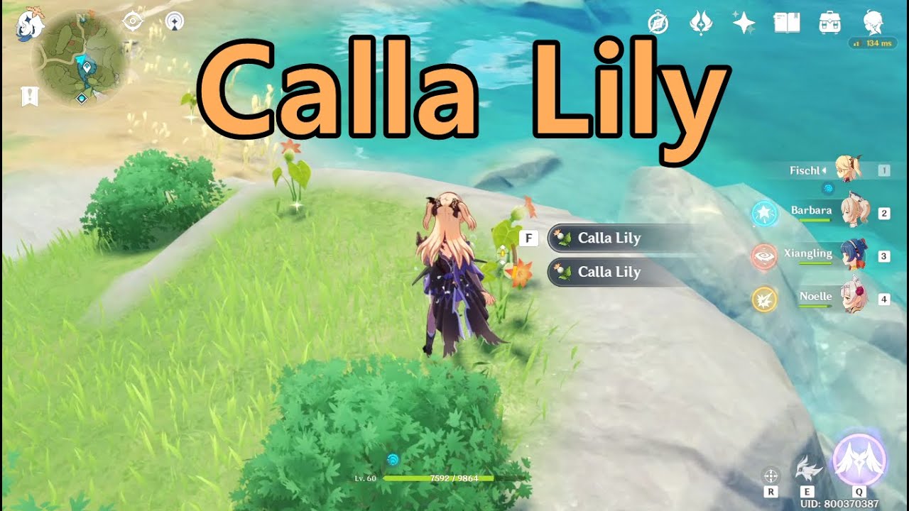 Calla Lily Location | Genshin Impact - YouTube