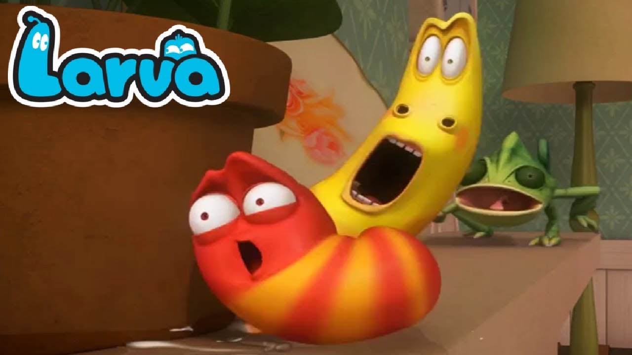 Larva Cartoon | Larva Full Episode 17 ~ 31 | Larva New Season 5 | Larva ...